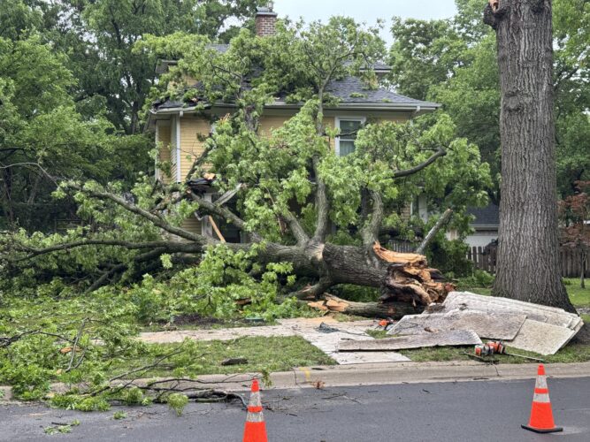 Overnight storms bring rain, wind and some damage in Douglas County ...